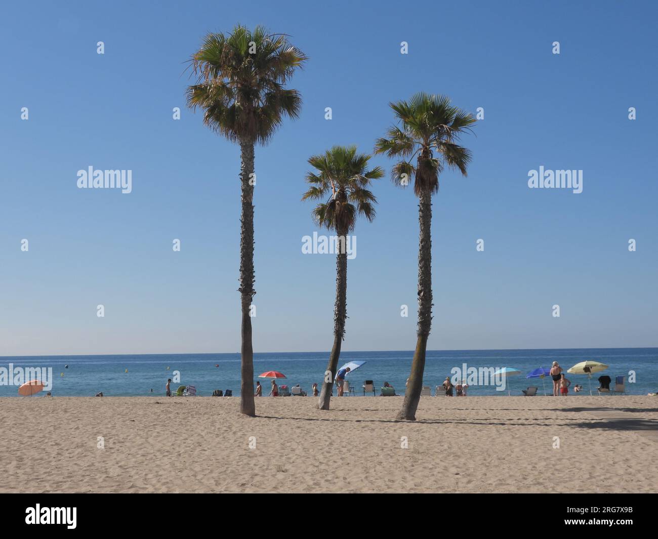 Costa dourada beach hi-res stock photography and images - Alamy