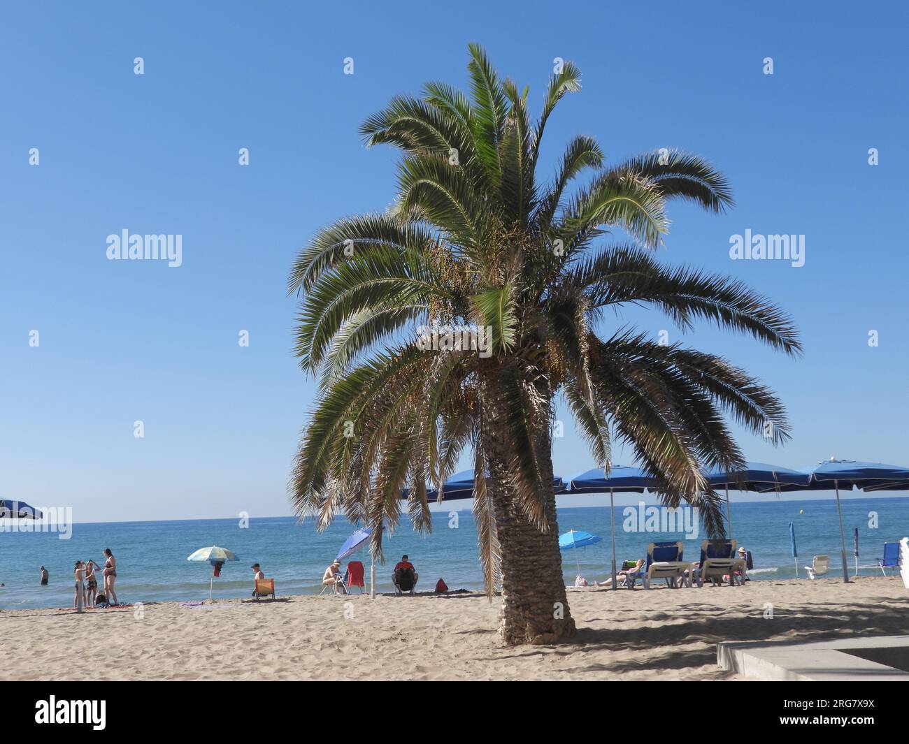 Cuni hi-res stock photography and images - Alamy