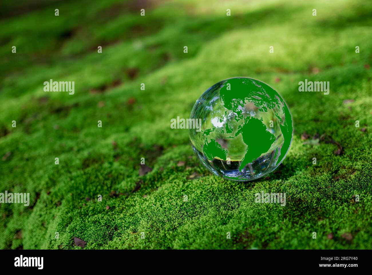 Crystal ball on moss in green forest. Environment concept Ecology and ...