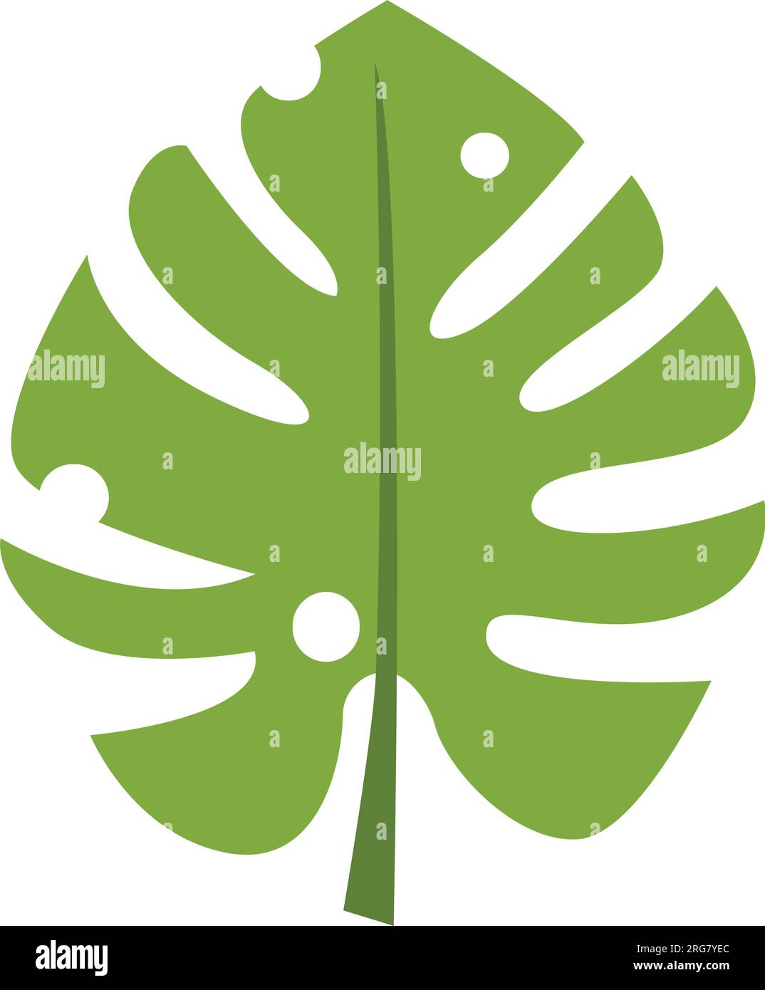 Cartoon green monstera leaf vector illustration isolated Stock Vector ...