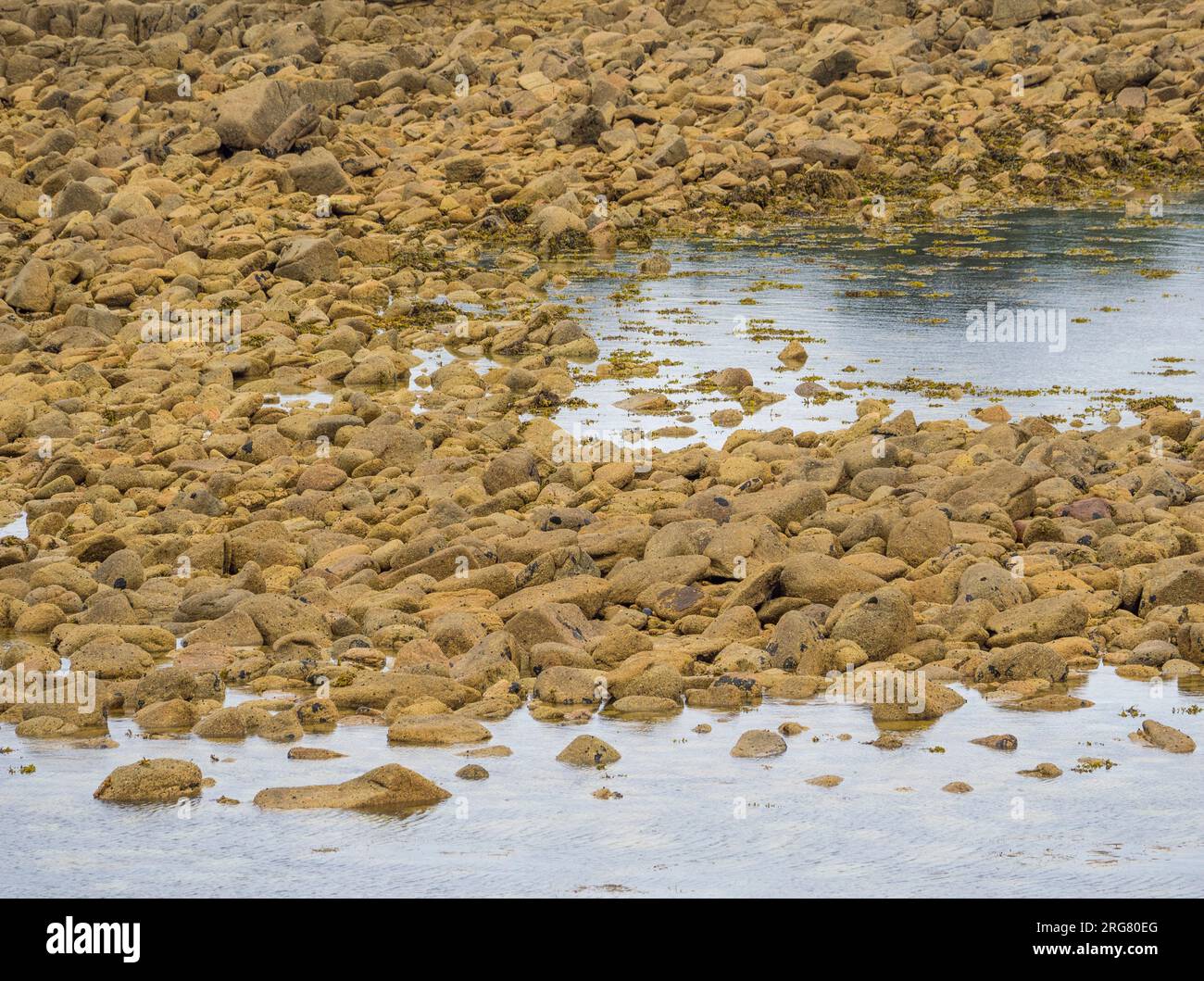 Cornwall costline hi-res stock photography and images - Alamy