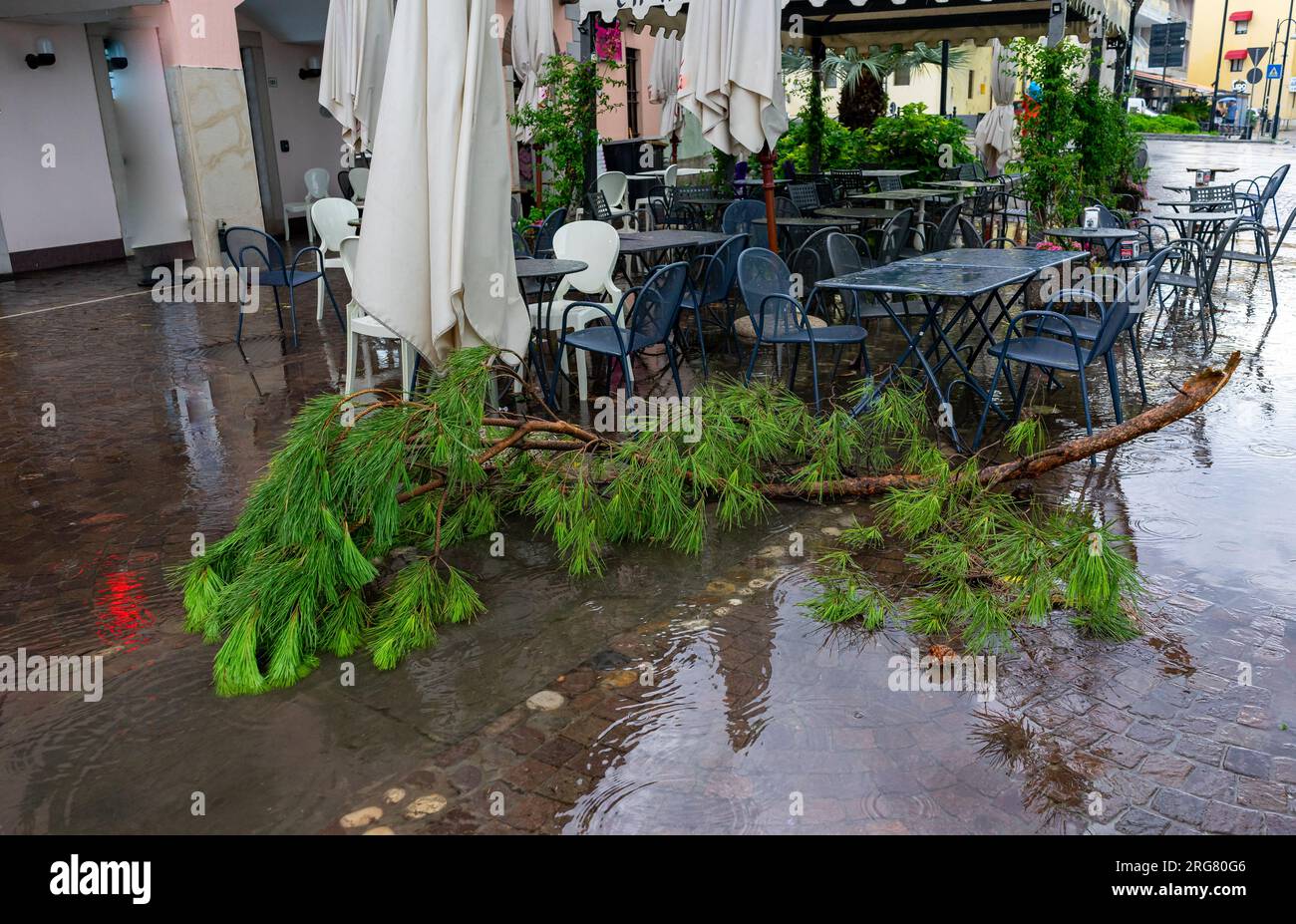 Storm with heavy rain and fallen branches Stock Photo - Alamy