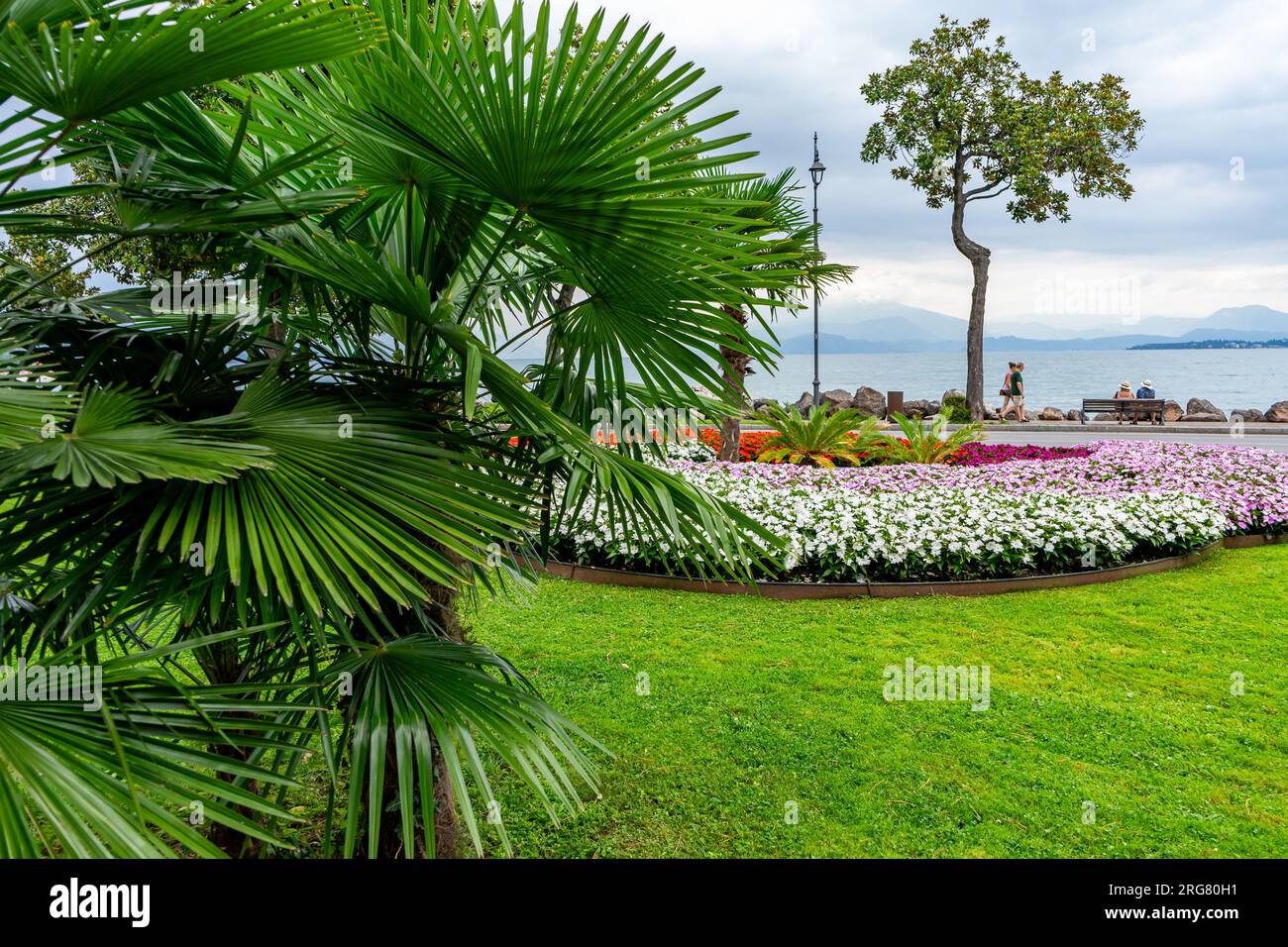 Garda water palm trees hi-res stock photography and images - Alamy