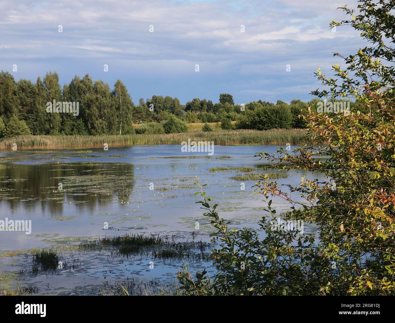 Strigailiškio tvenkinys (Ignalina Eldership, Ignalina District ...