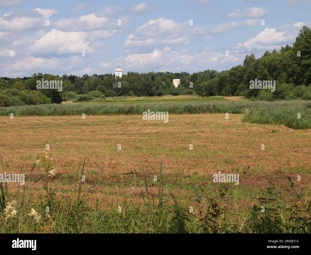 Białowieża (Podlasie Province, Republic of Poland Stock Photo - Alamy