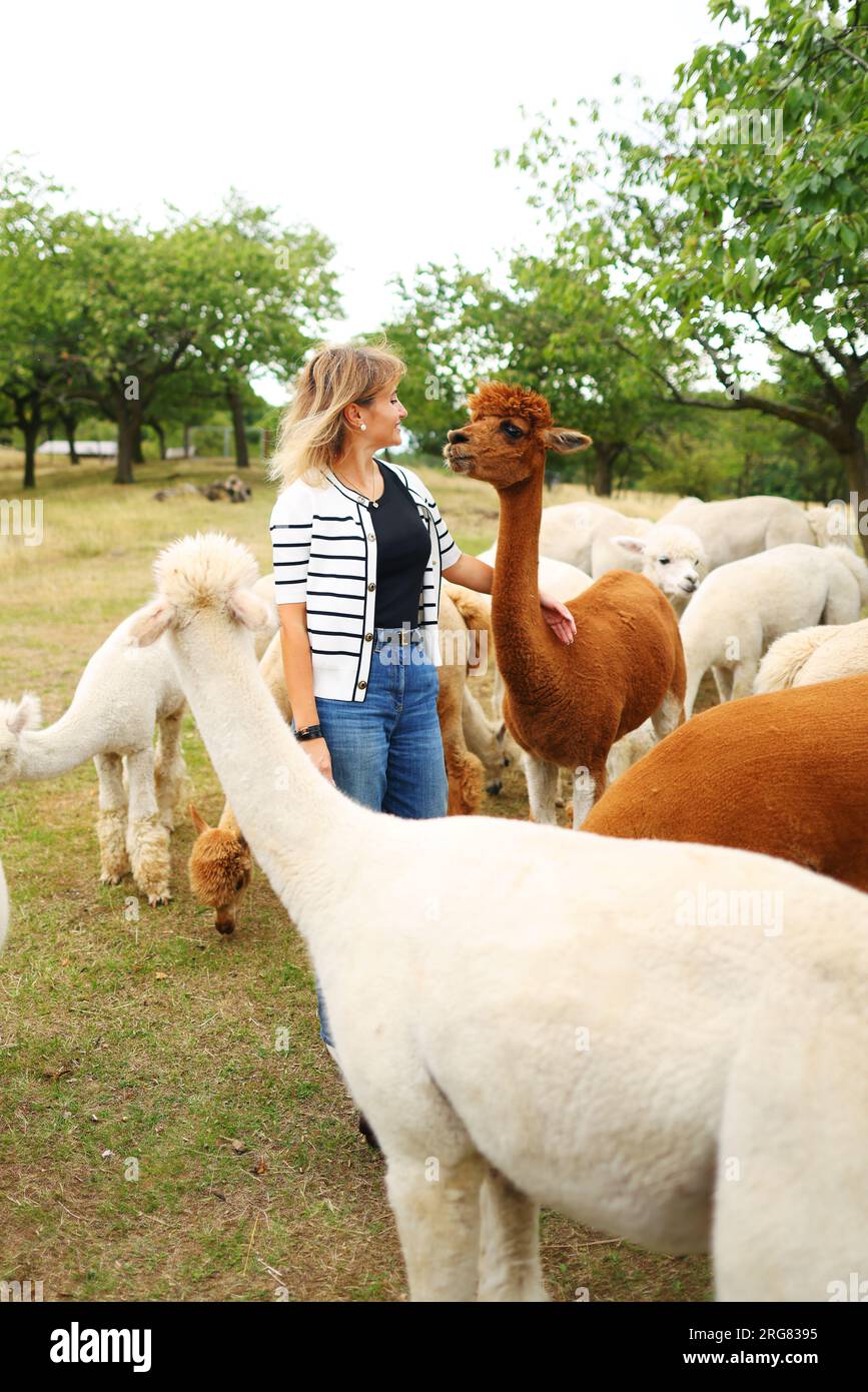 A girl having fun with lama and try to kiss Stock Photo - Alamy