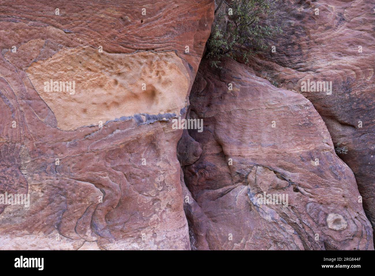 Sandstone paterns around Petra city, UNESCO World Heritage Site, Wadi ...