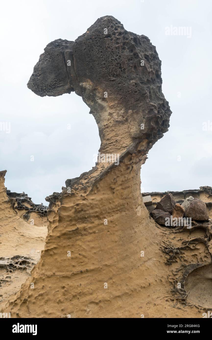 Cute Princess Rock formations in Yehliu Geopark, Taipei, Taiwan Stock ...