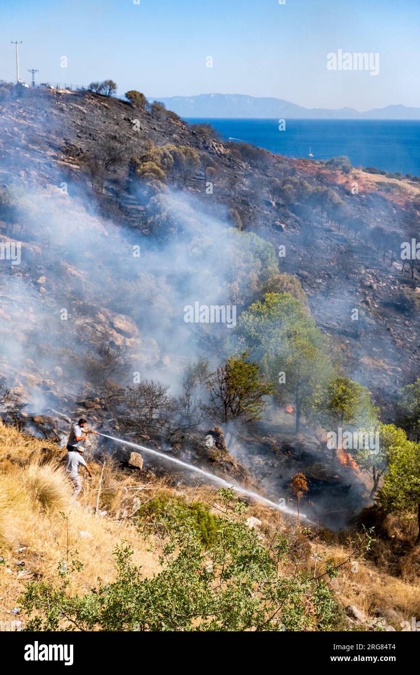 People fighting against dangerous burning flame tongues, smoke of fire ...