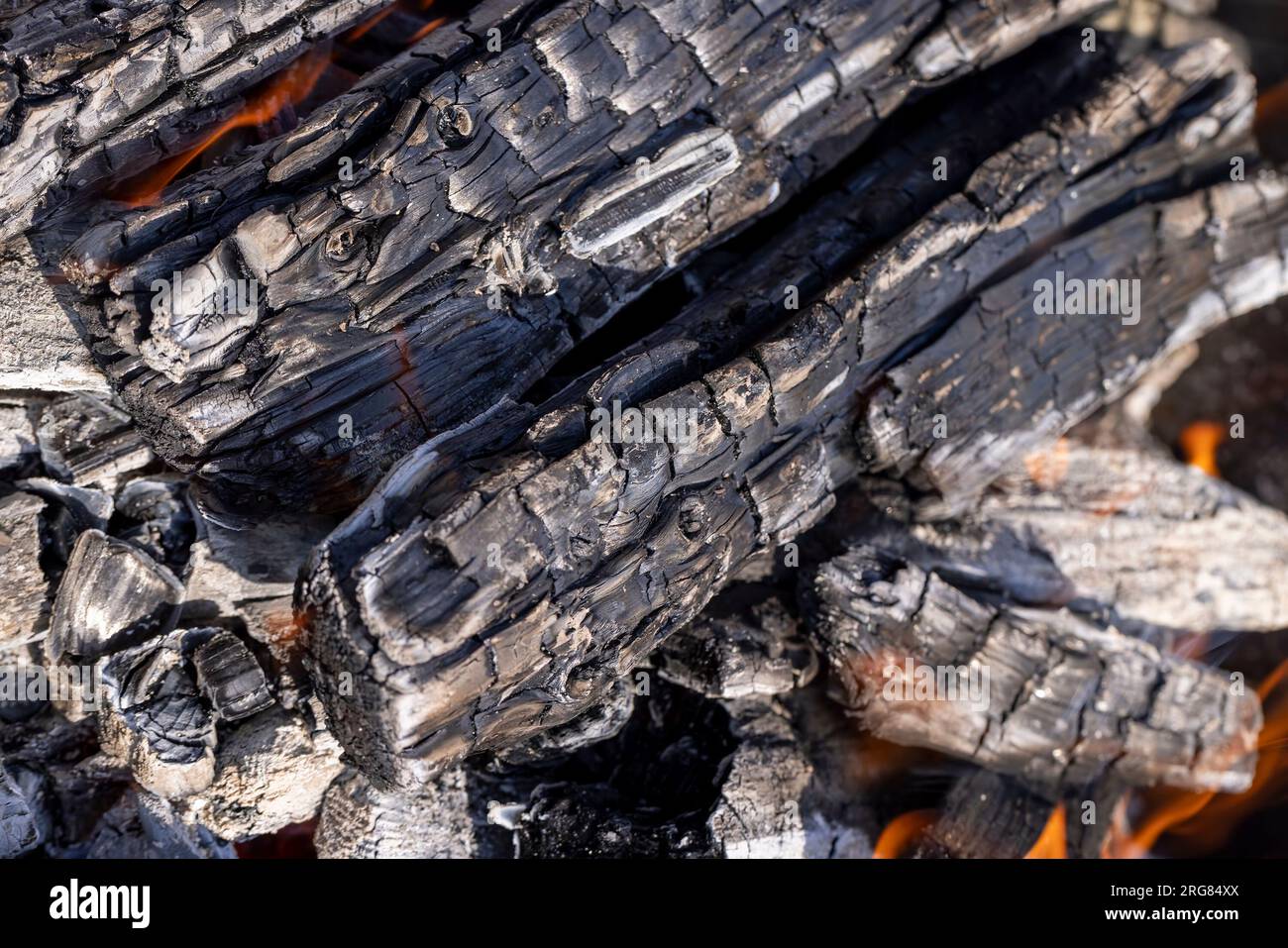 Flammable trees hi-res stock photography and images - Alamy