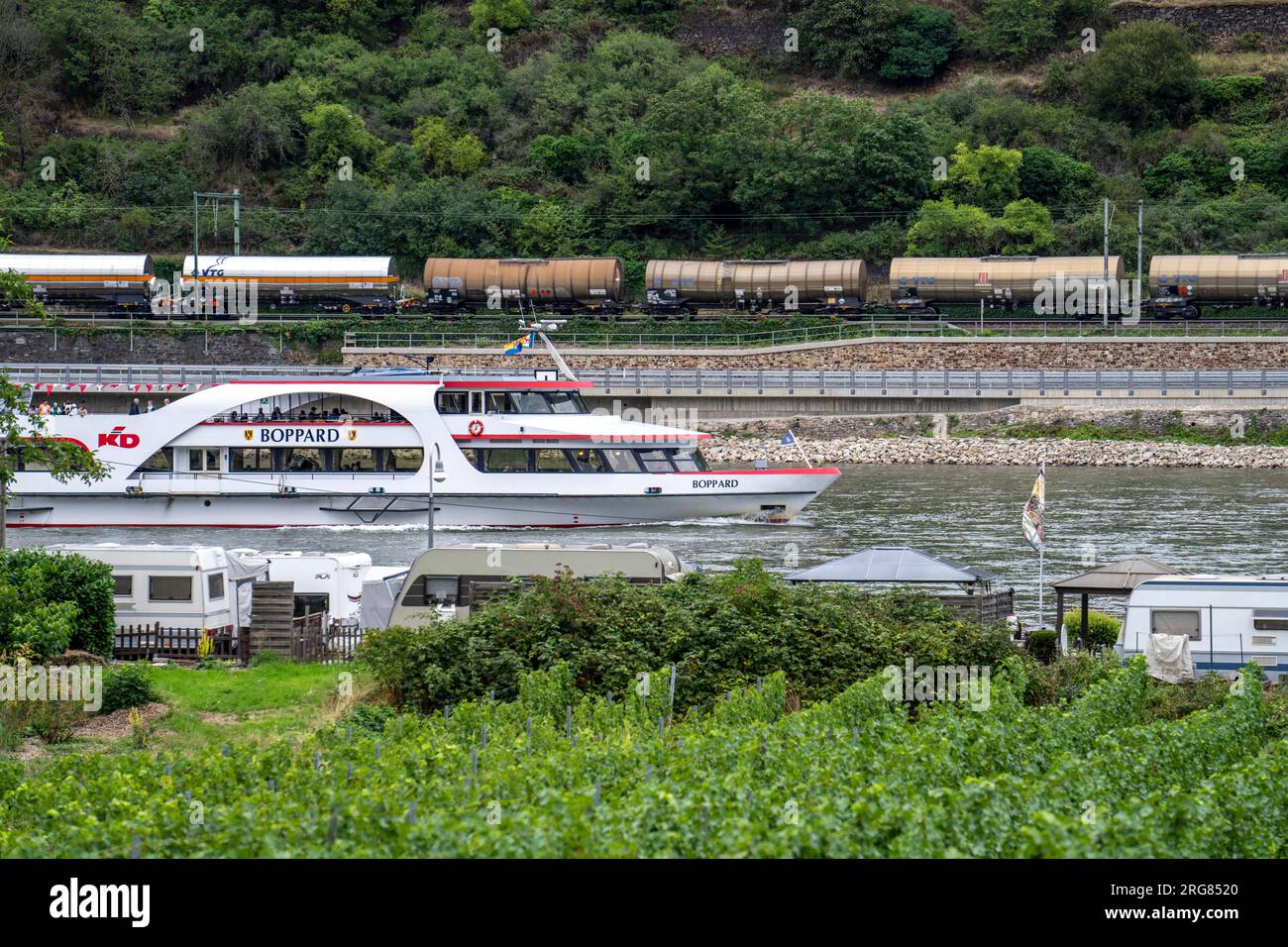 Upper Middle Rhine Valley, north of Bingen, Marienort campsite, Boppard ...