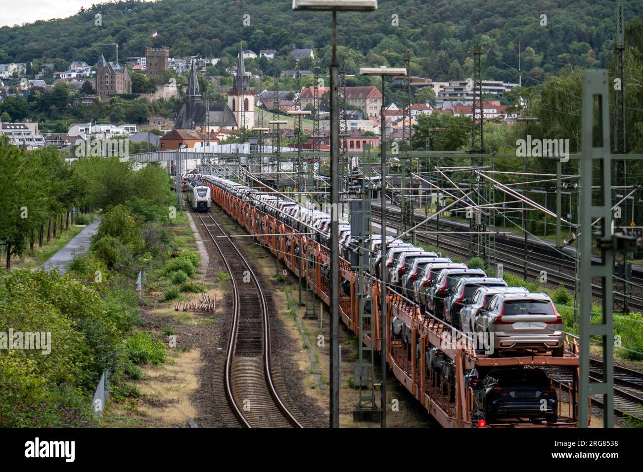 Upper Middle Rhine Valley, goods train, car transporter in Bingen ...