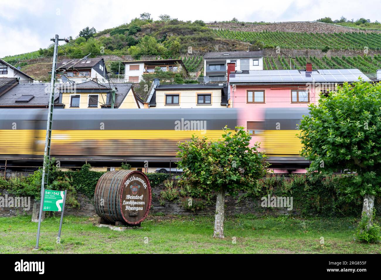 Upper Middle Rhine Valley, railway line on the right bank of the Rhine ...