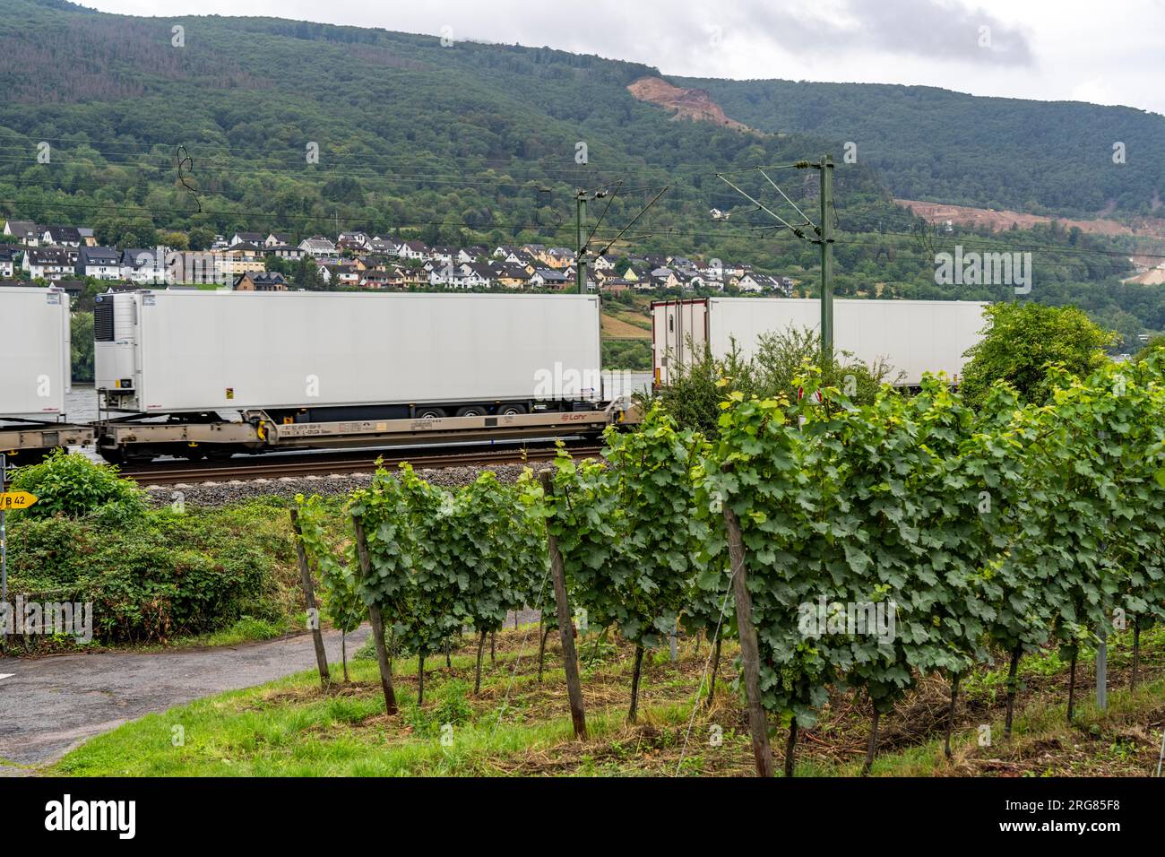 Upper Middle Rhine Valley, railway line on the right bank of the Rhine ...