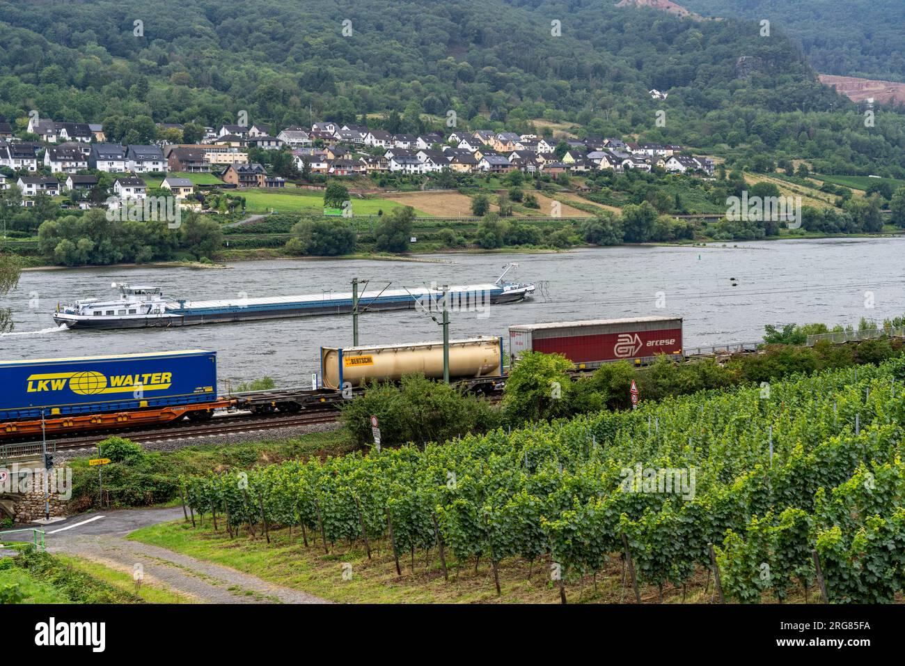 Upper Middle Rhine Valley, railway line on the right bank of the Rhine ...