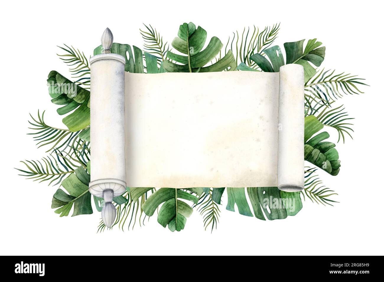 Tropical banner with blank paper scroll and palm leaves watercolor ...