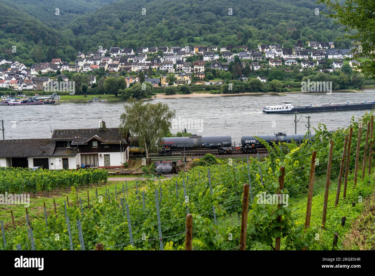 Upper Middle Rhine Valley, railway line on the right bank of the Rhine ...