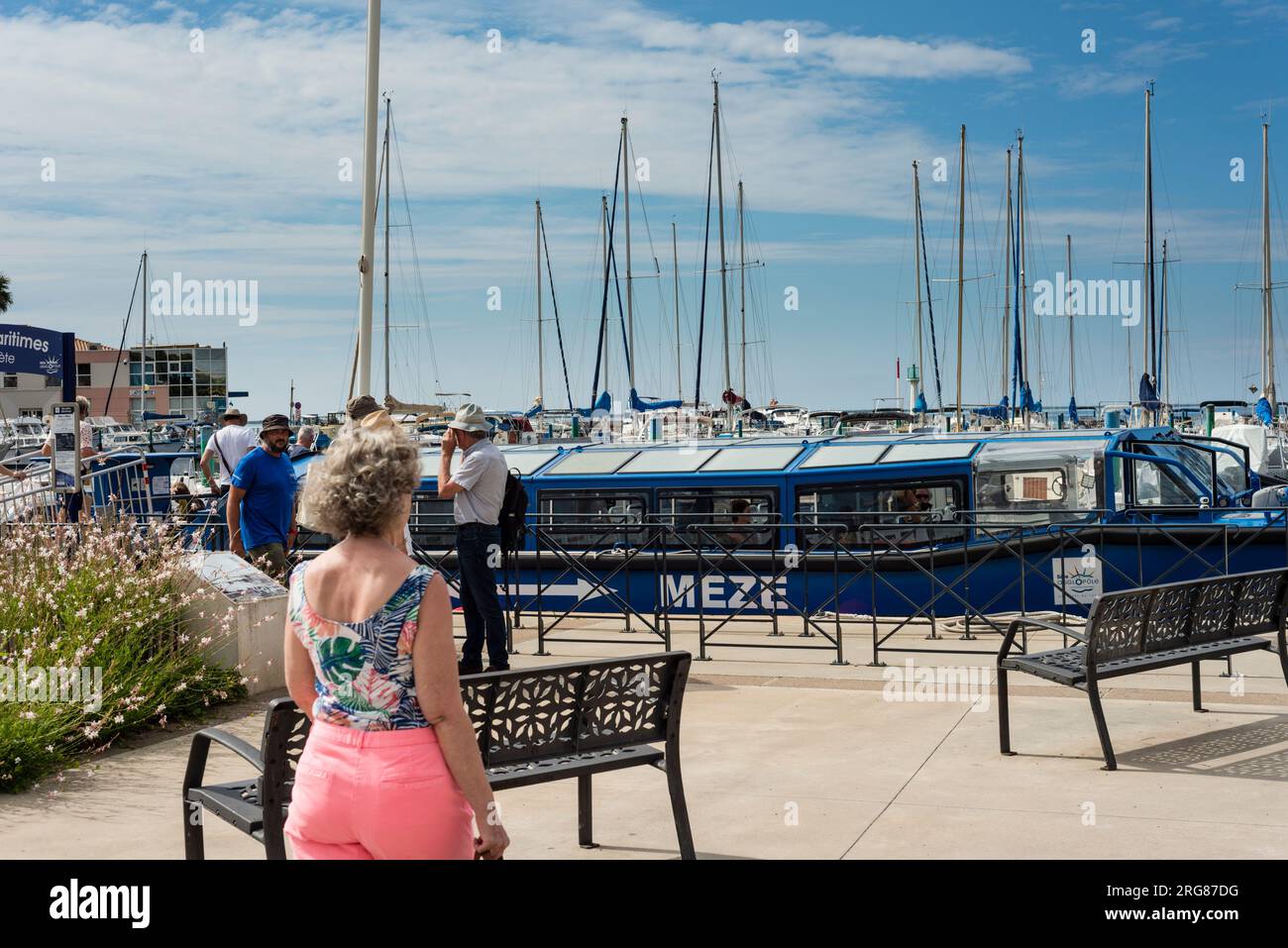 Water Bus operating between Meze and Sete waiting for passengers at ...