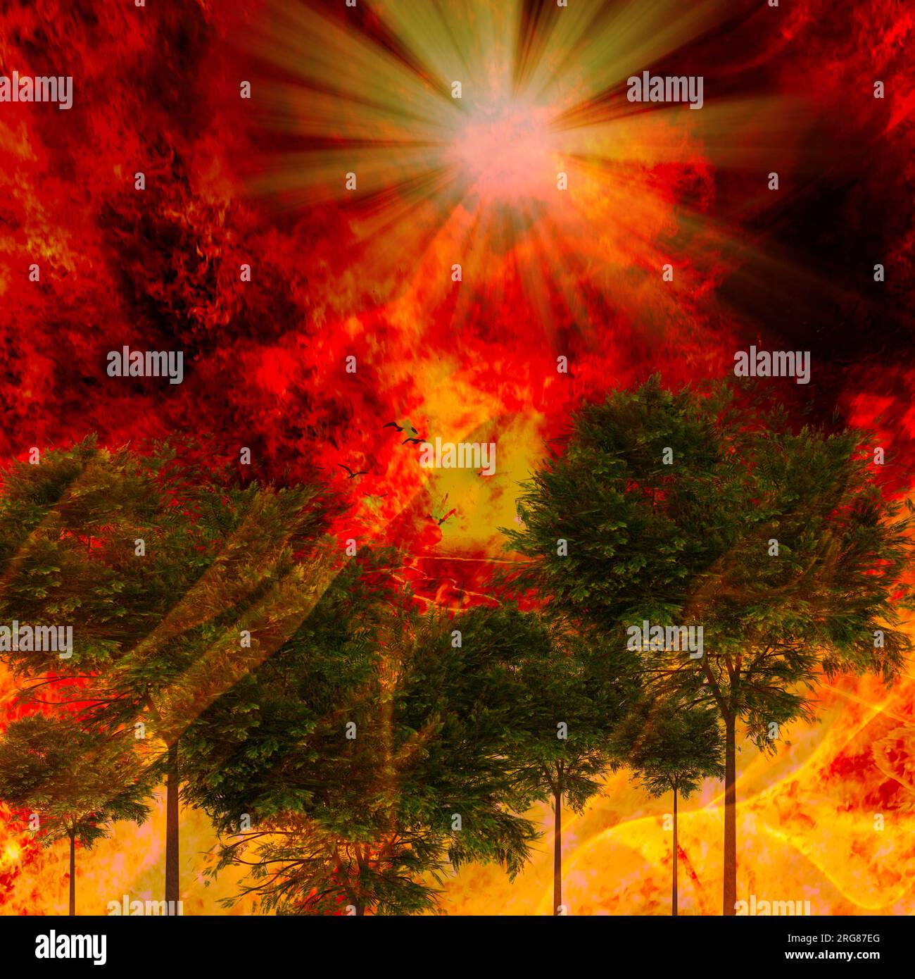 Climate Change. Global Warming. Fire and Heat in the Background.Forest ...
