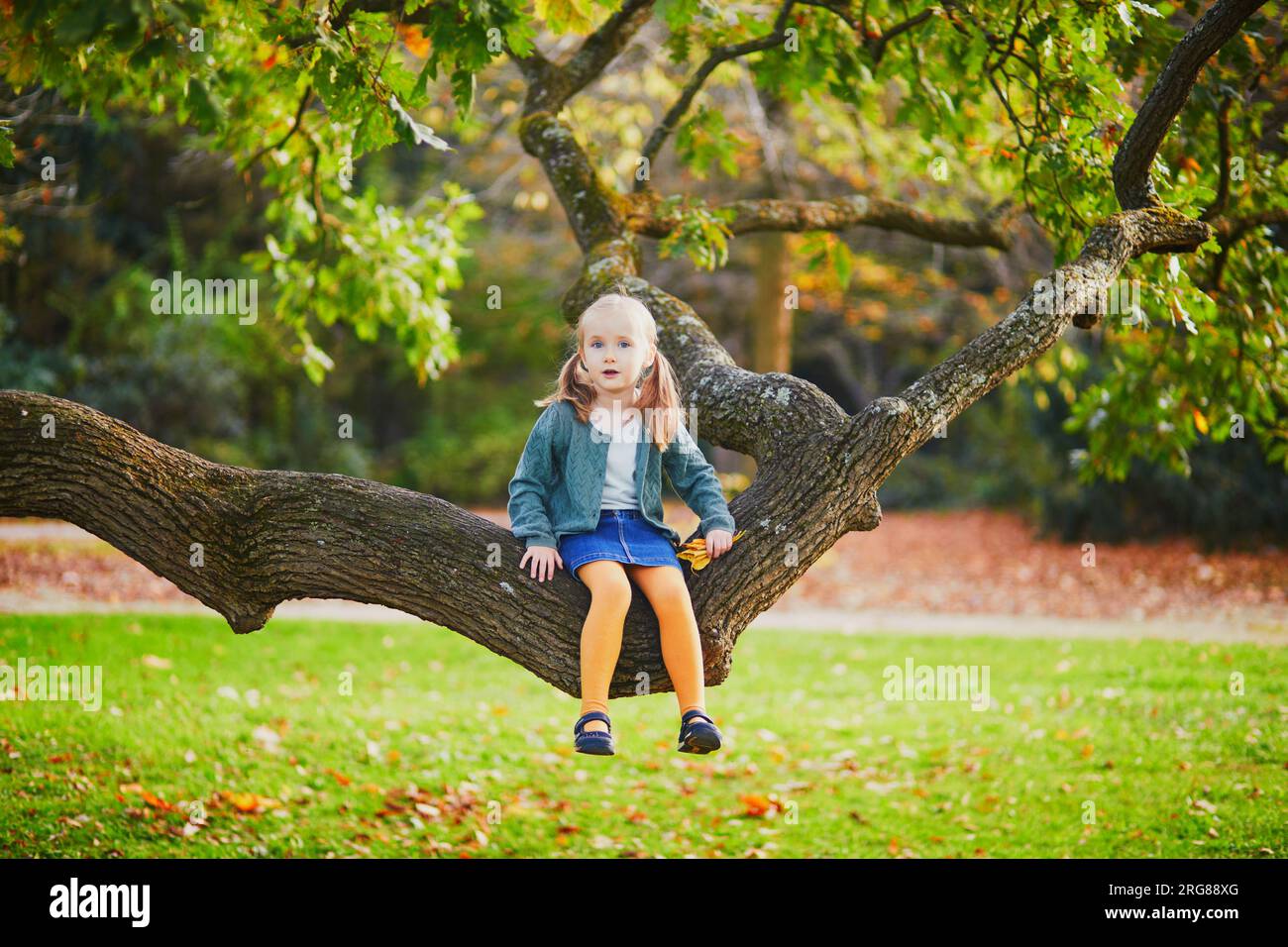 Cute preschooler girl sitting on a tree branch in park or forest. Child ...