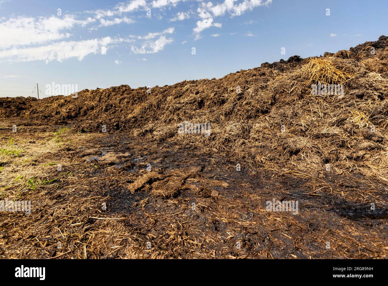 Manure for fertilizing the soil in the field, natural fertilizers ...