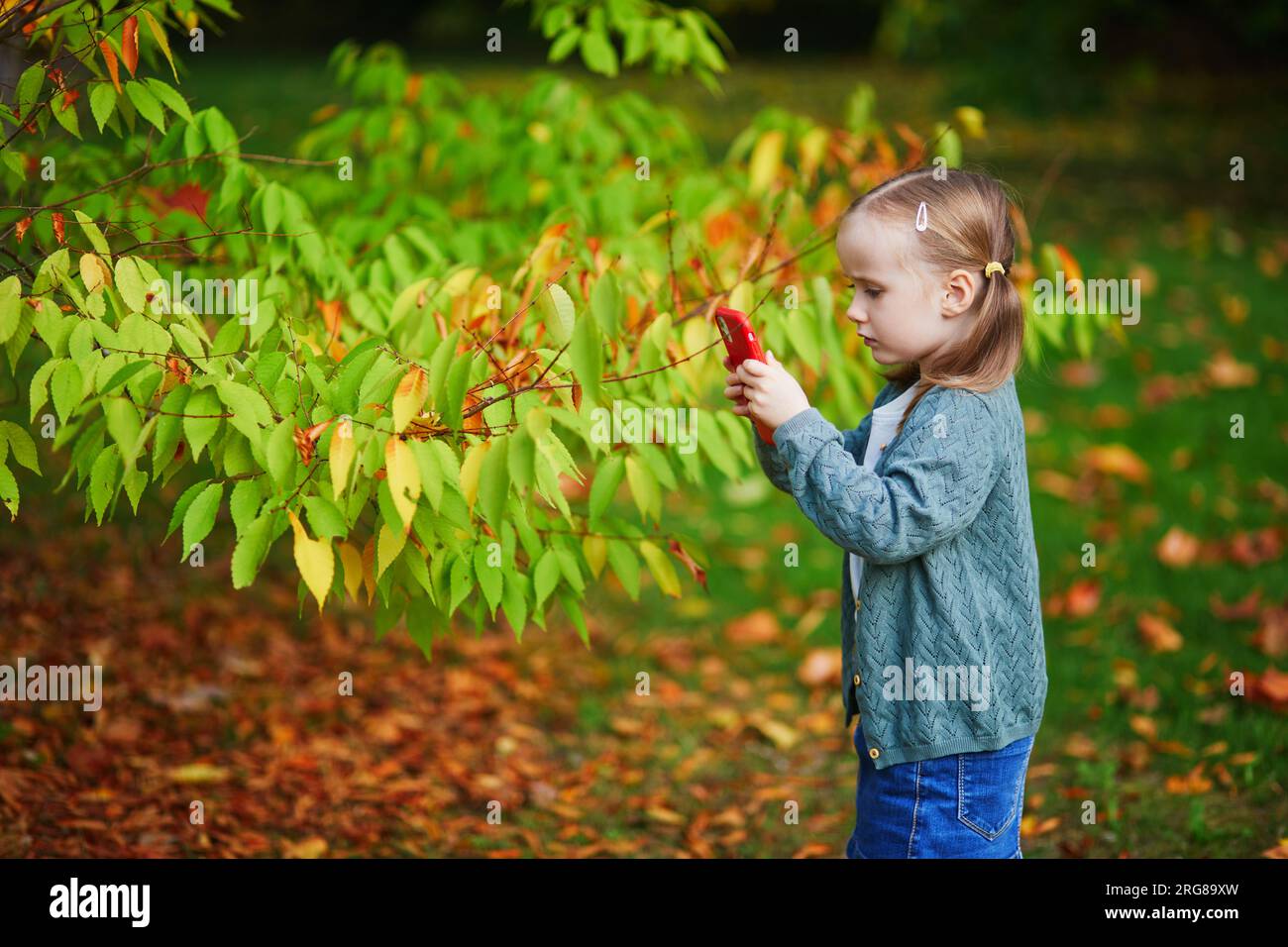 Adorable preschooler girl enjoying autumn day outdoors. Happy child gathering autumn leaves in ...