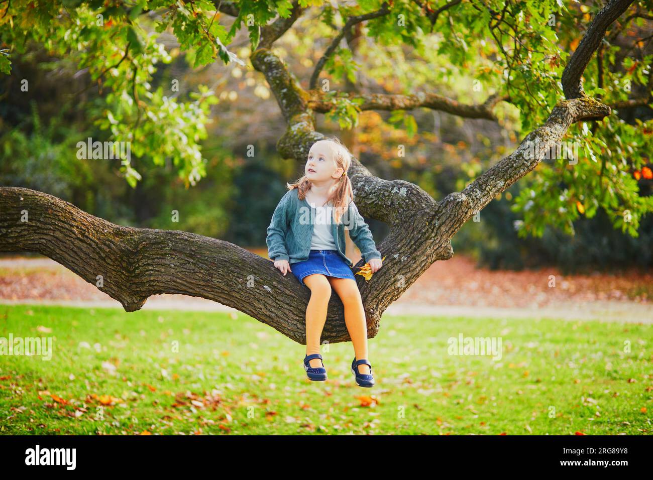 Cute preschooler girl sitting on a tree branch in park or forest. Child ...