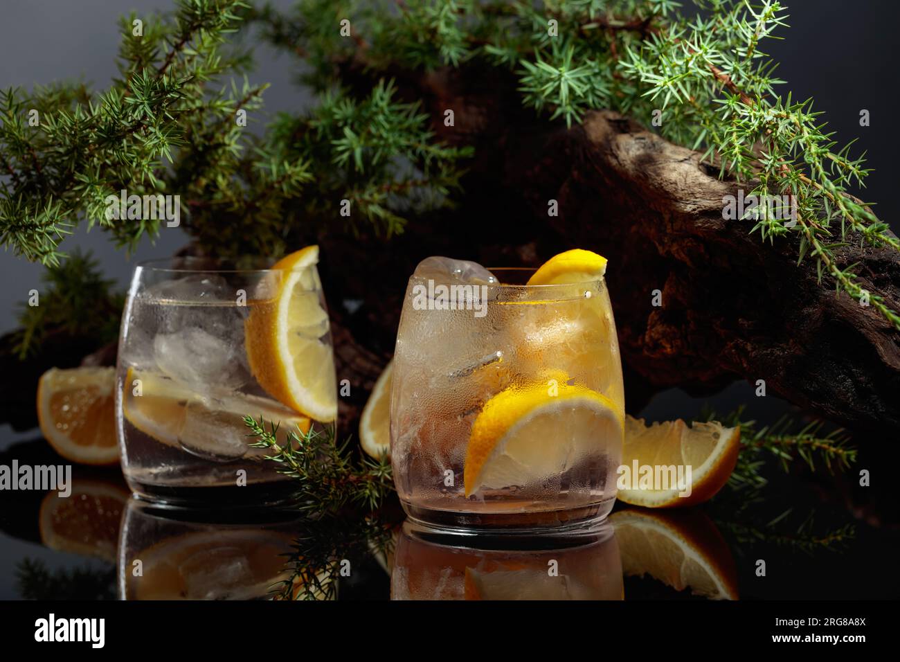 Cocktail gin-tonic with ice and lemon on a black reflective background ...