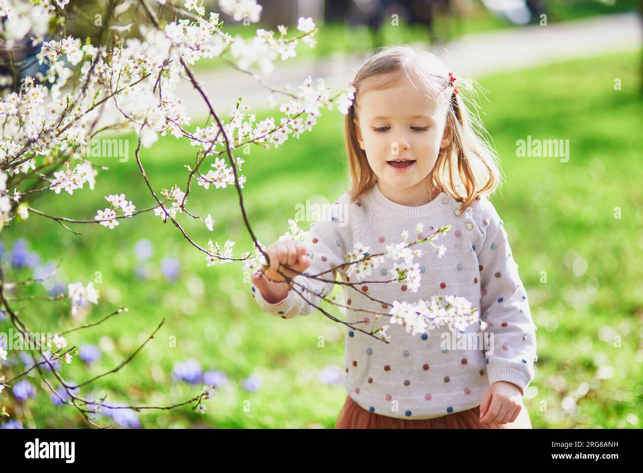 Adorable little girl enjoying nice and sunny spring day near apple tree ...