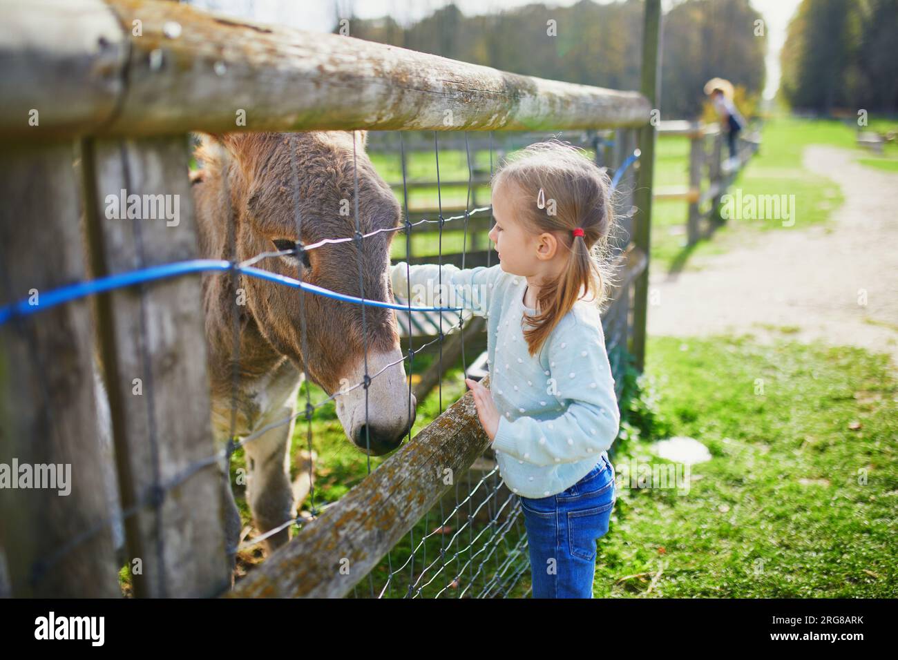 Adorable little girl playing with donkey at farm. Child familiarizing ...