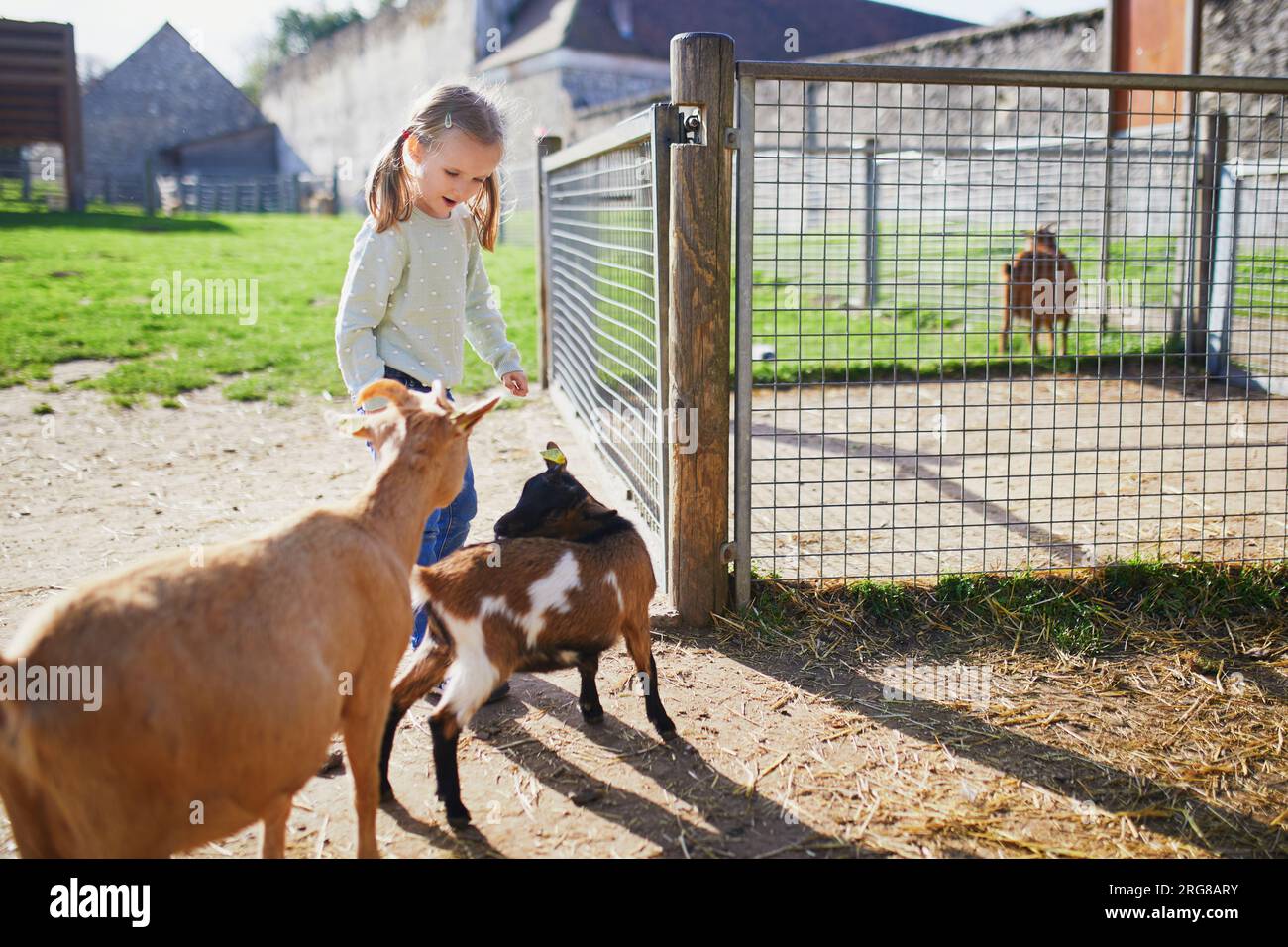 Children playing with farm animals hi-res stock photography and images ...