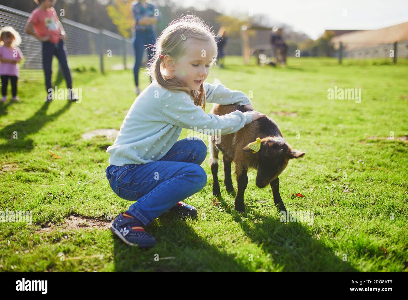 Adorable little girl playing with goats at farm. Child familiarizing ...
