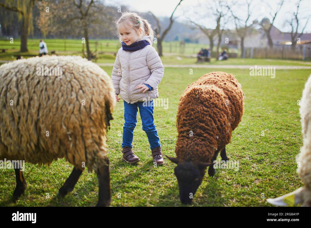 Adorable little girl playing with goats and sheep at farm. Child ...