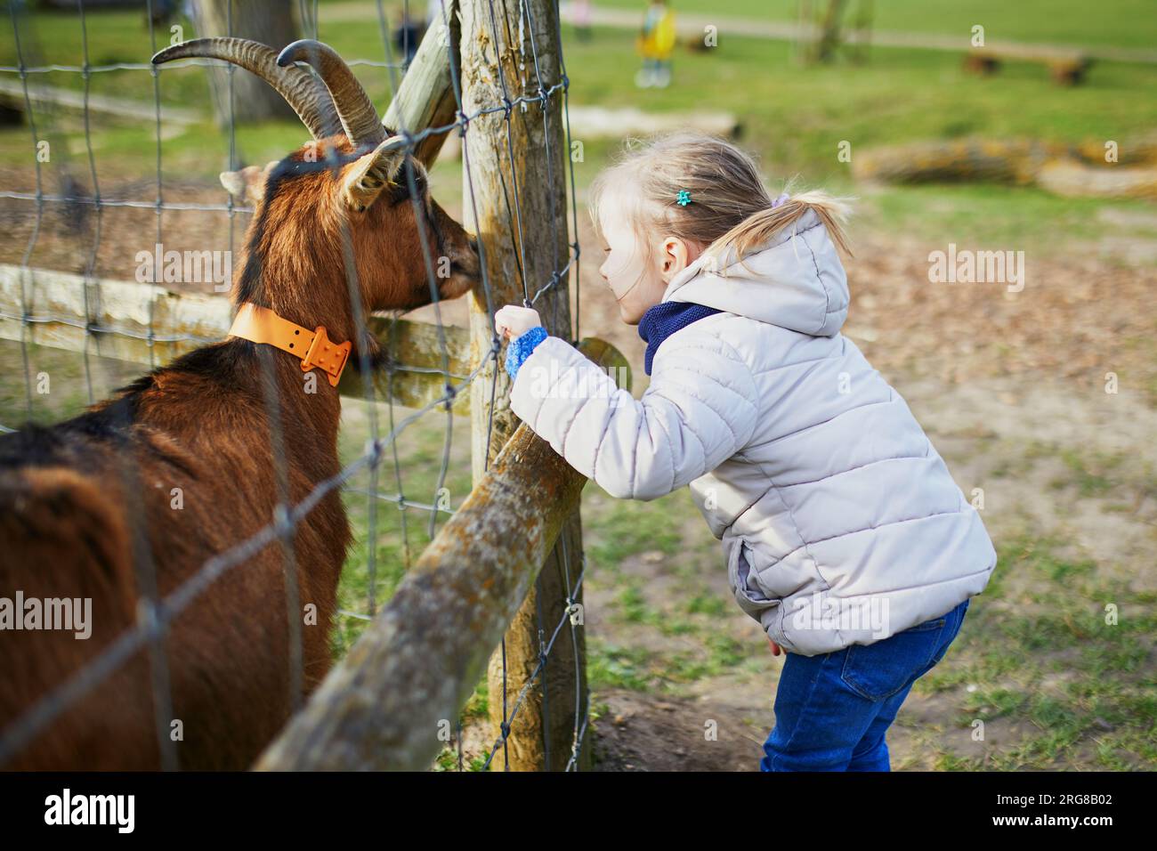 Adorable little girl playing with goats at farm. Child familiarizing ...