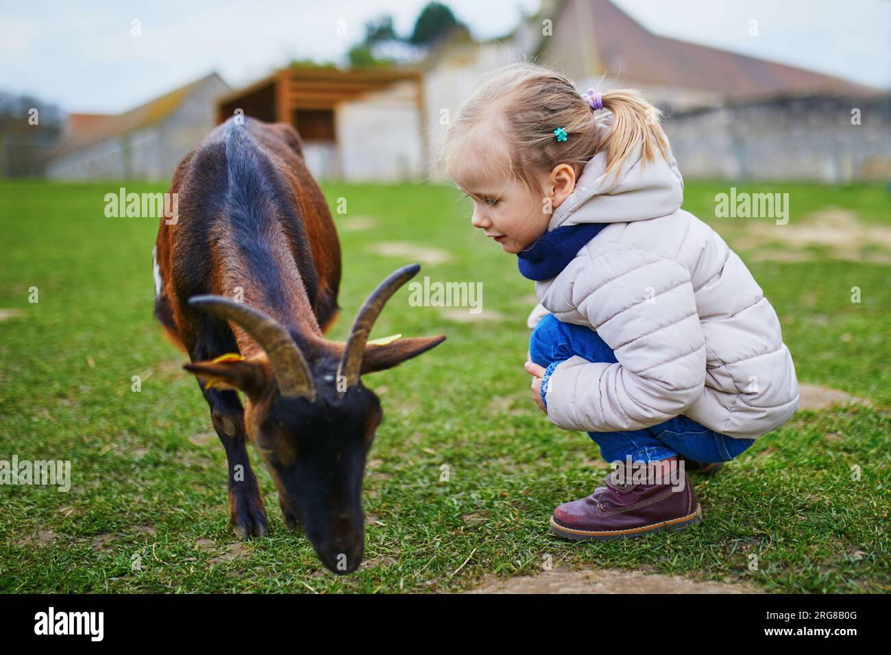 Adorable little girl playing with goats at farm. Child familiarizing ...