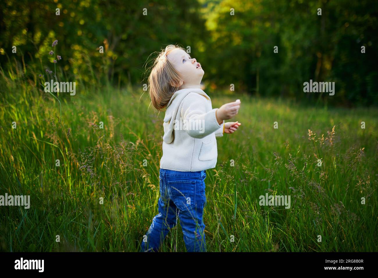 Adorable toddler girl walking in park or forest. Child having fun ...