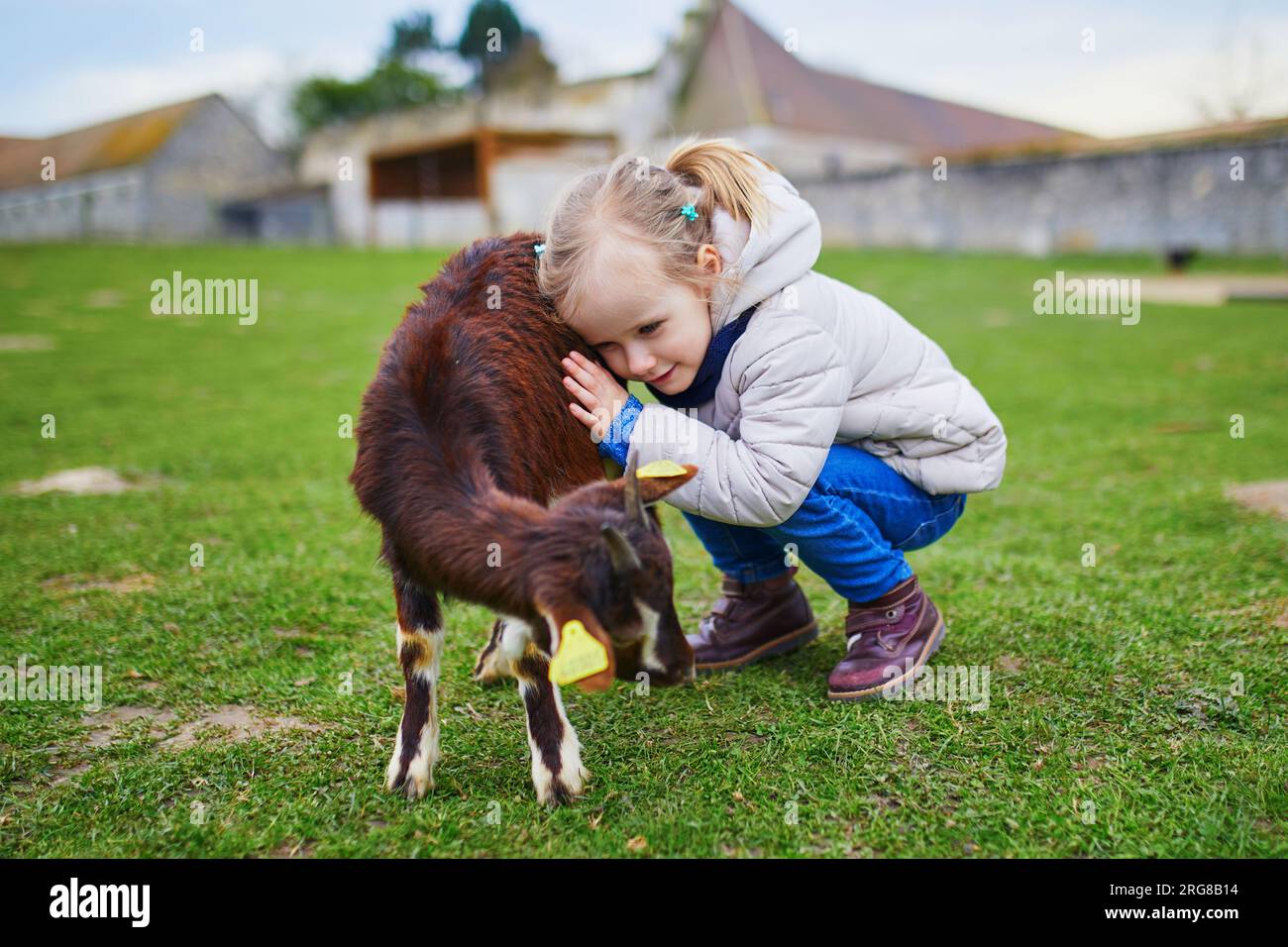 Adorable little girl playing with goats at farm. Child familiarizing ...