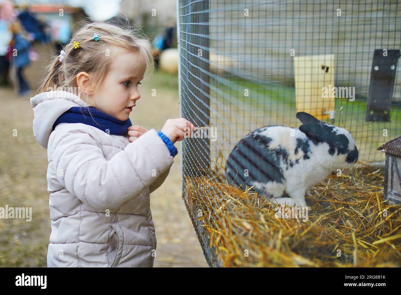 Adorable little girl feeding rabbit at farm. Child familiarizing ...