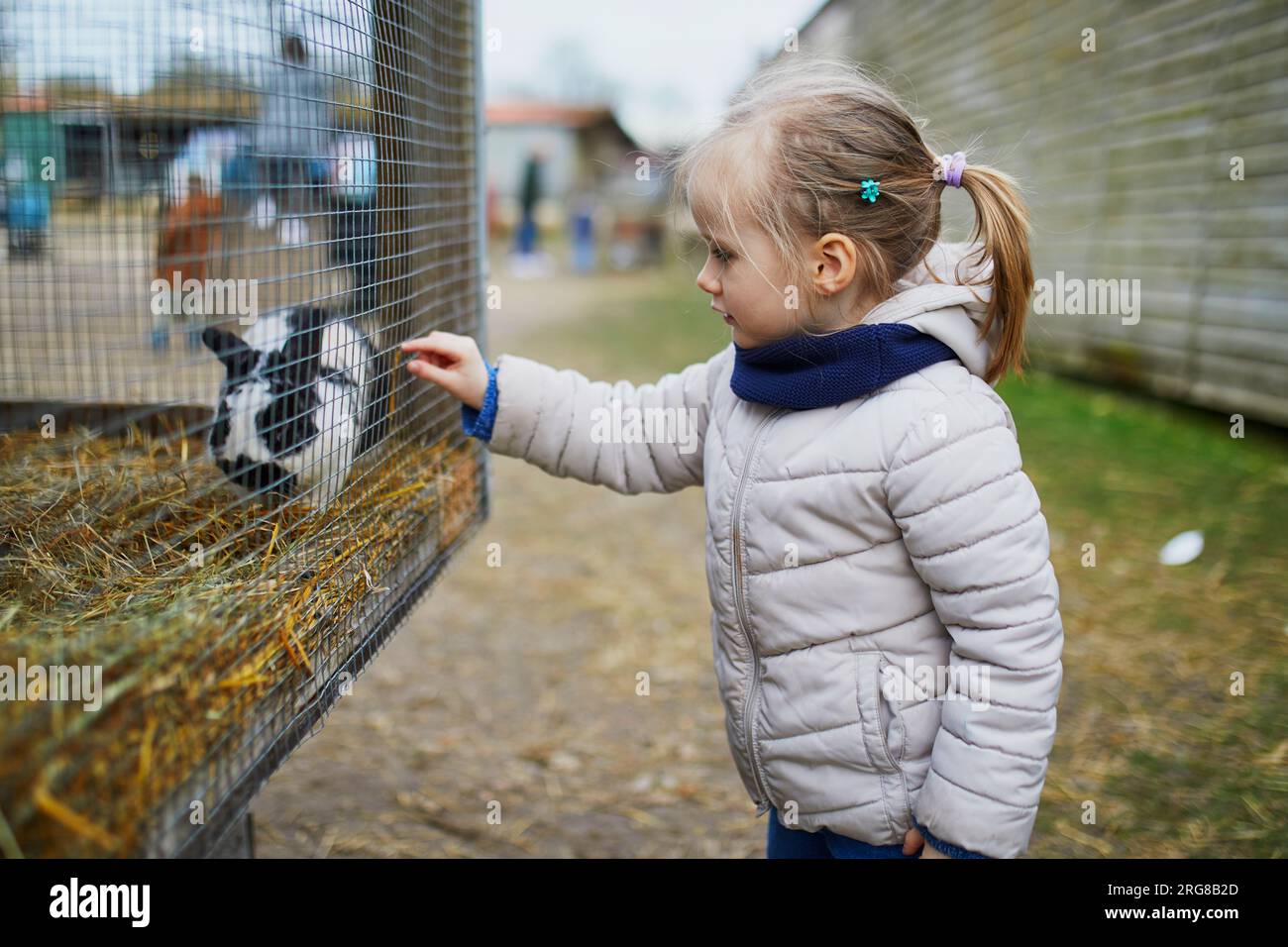 Adorable little girl playing with rabbits at farm. Child familiarizing ...