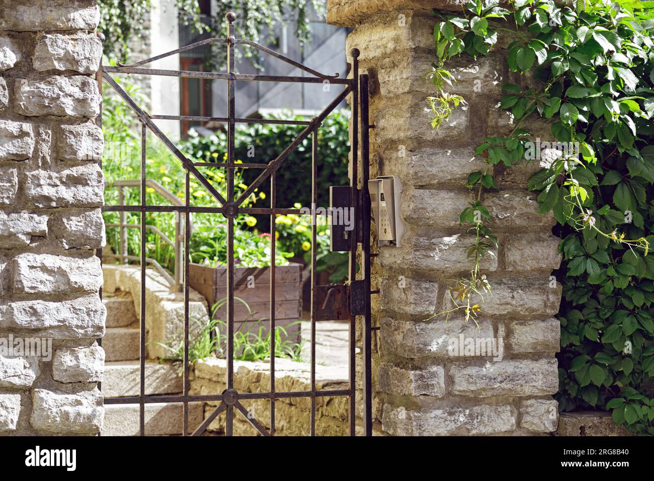 Wicket to the garden with a hoppy plant Stock Photo - Alamy
