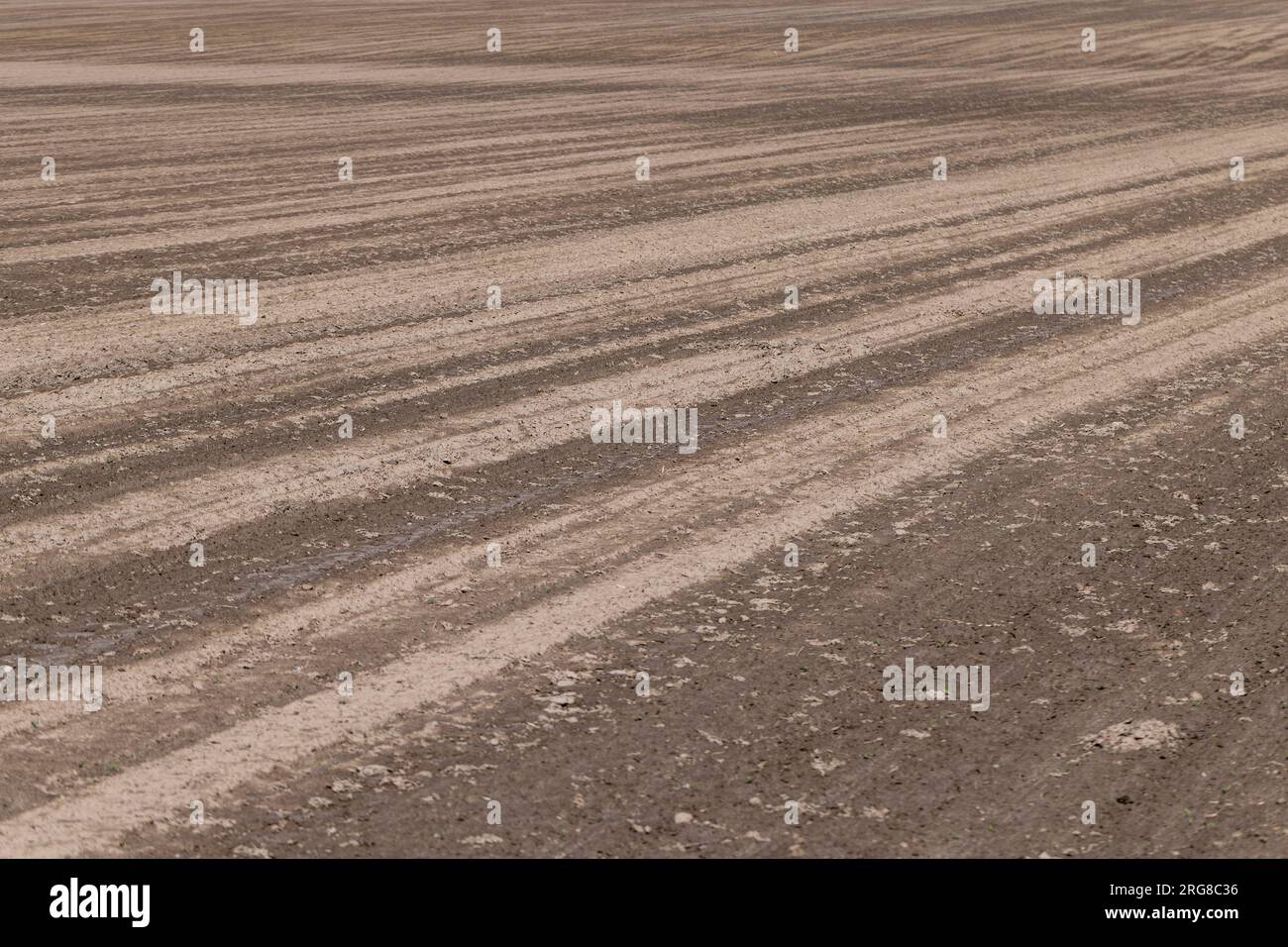Non fertile soil hi-res stock photography and images - Alamy