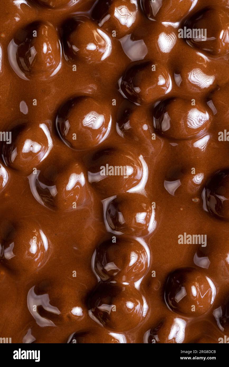 real milk chocolate while cooking with hazelnuts, a bunch of hazelnuts ...