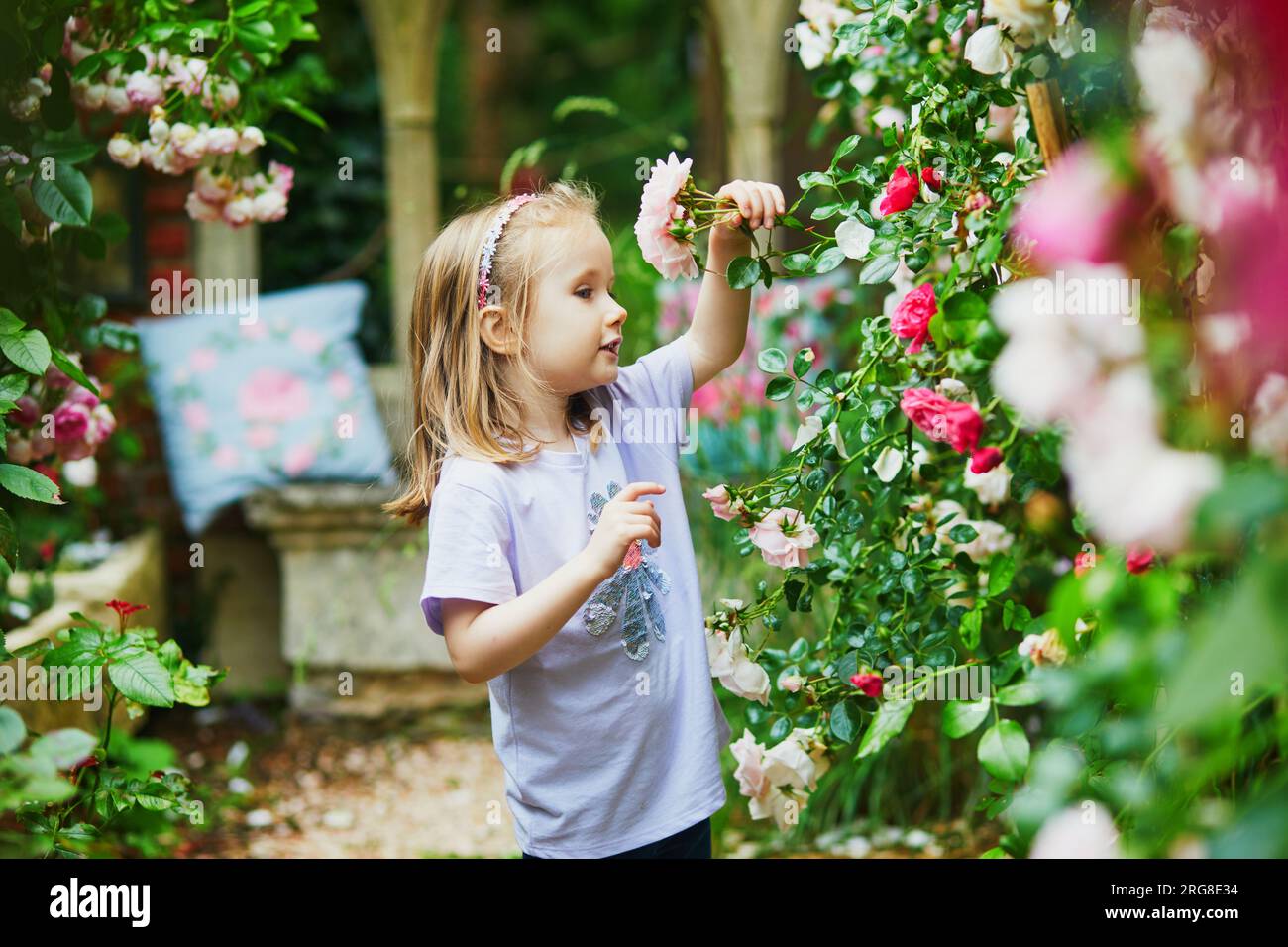 Adorable preschooler girl enjoying rose flowers in summer park. Happy ...