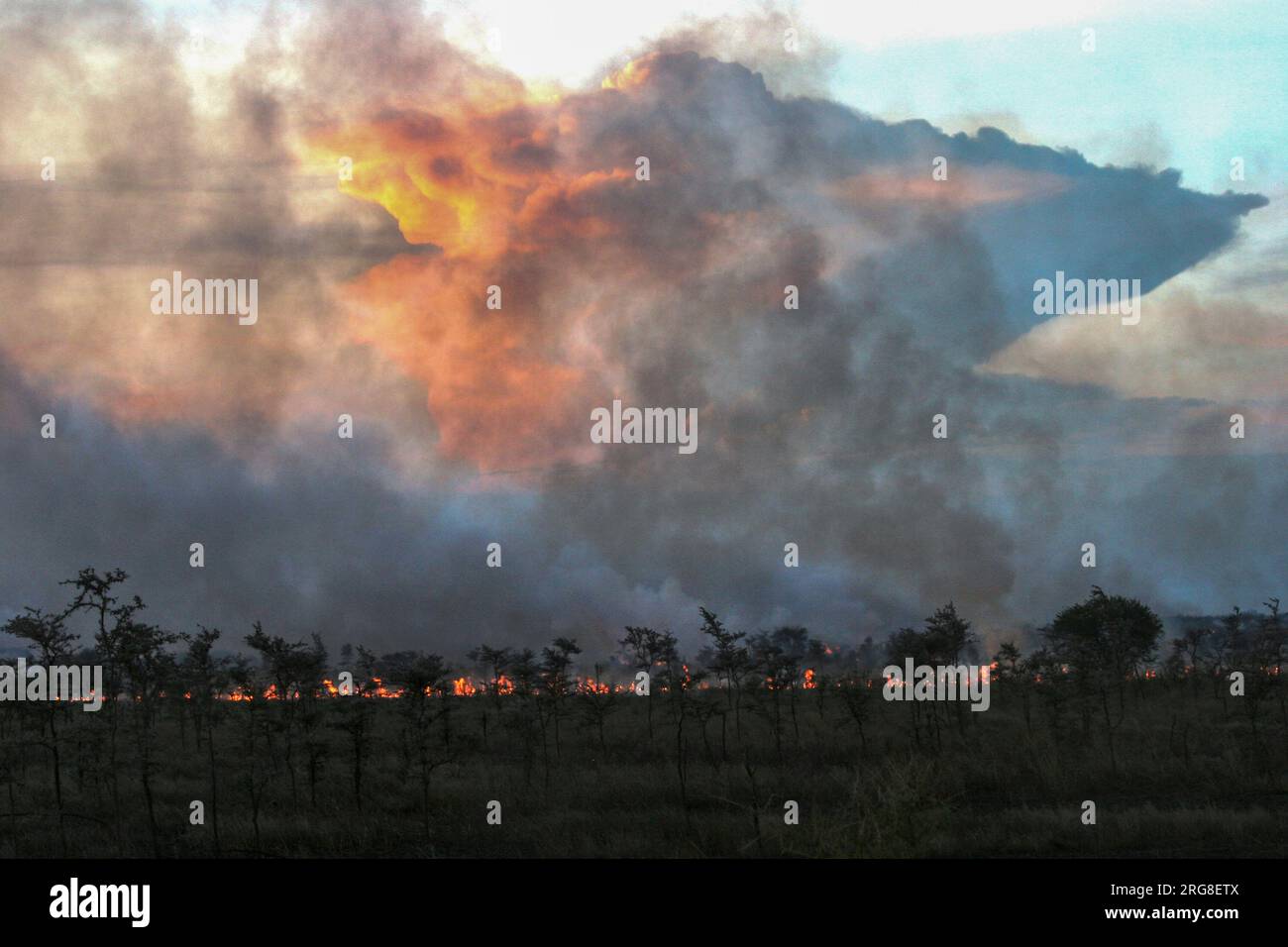 Large Forest fire photographed in Tanzania Stock Photo - Alamy