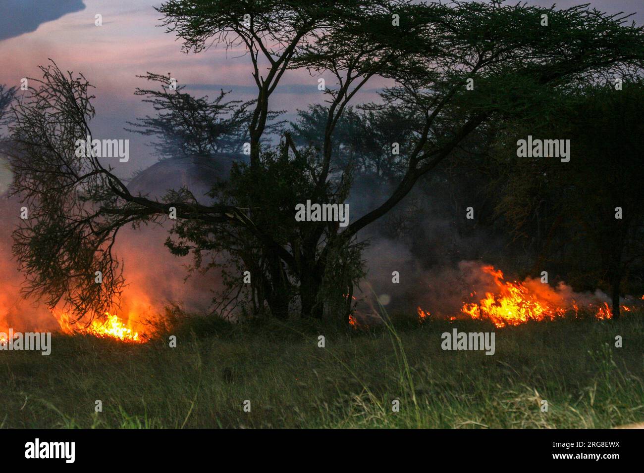 Large Forest fire photographed in Tanzania Stock Photo - Alamy