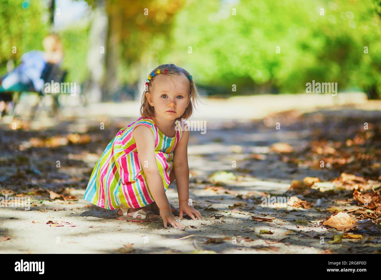 Cute little toddler girl squatting on her haunches and gathering dry ...