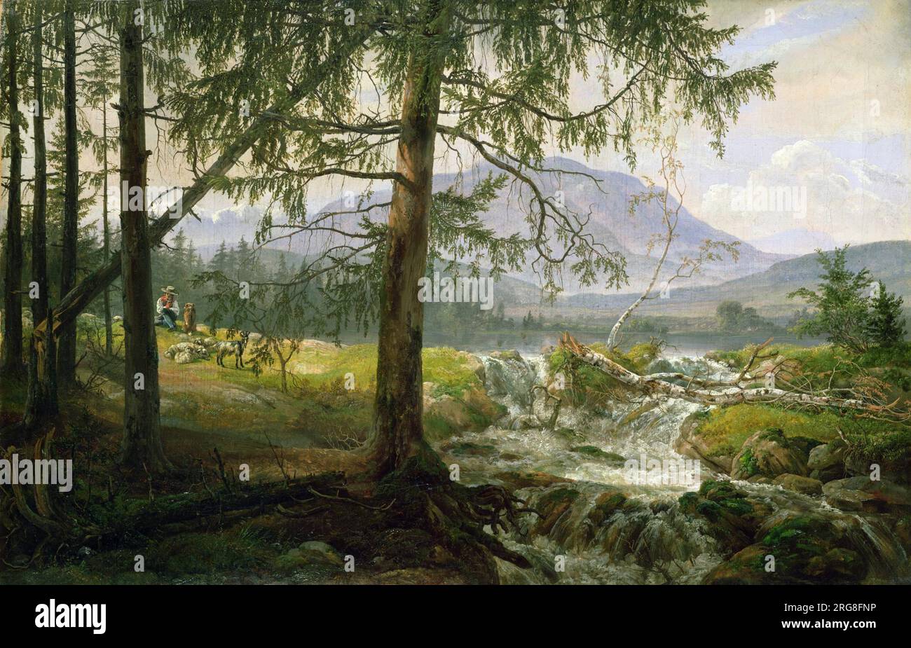 Tyrolean spruce hi-res stock photography and images - Alamy