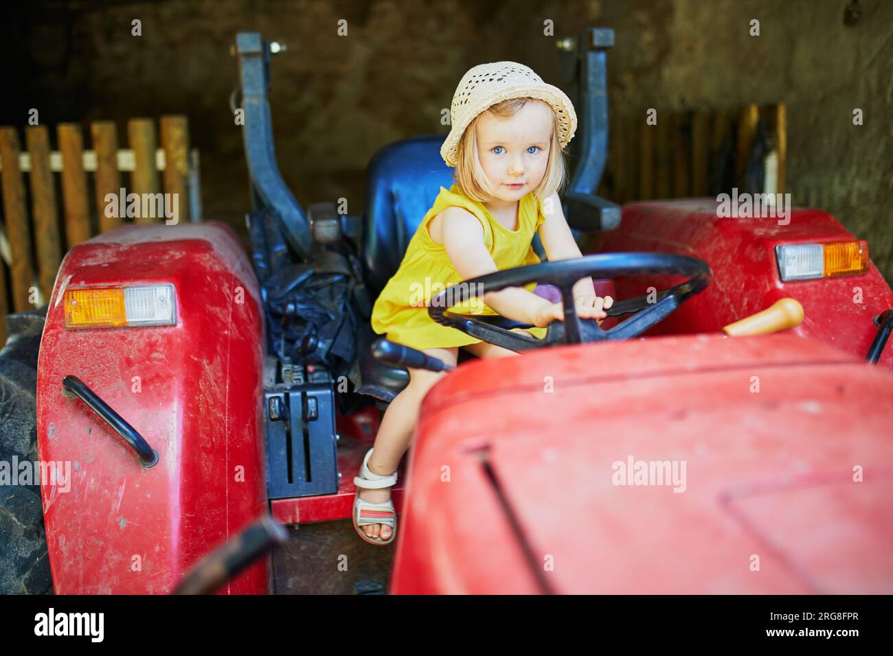 Adorable toddler girl playing on old red tractor on Gally farm near ...