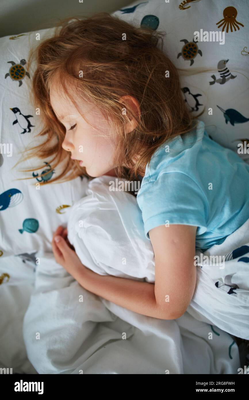 Preschooler girl sleeping in her bed. Little child having a day nap. Kid in nursery Stock Photo ...