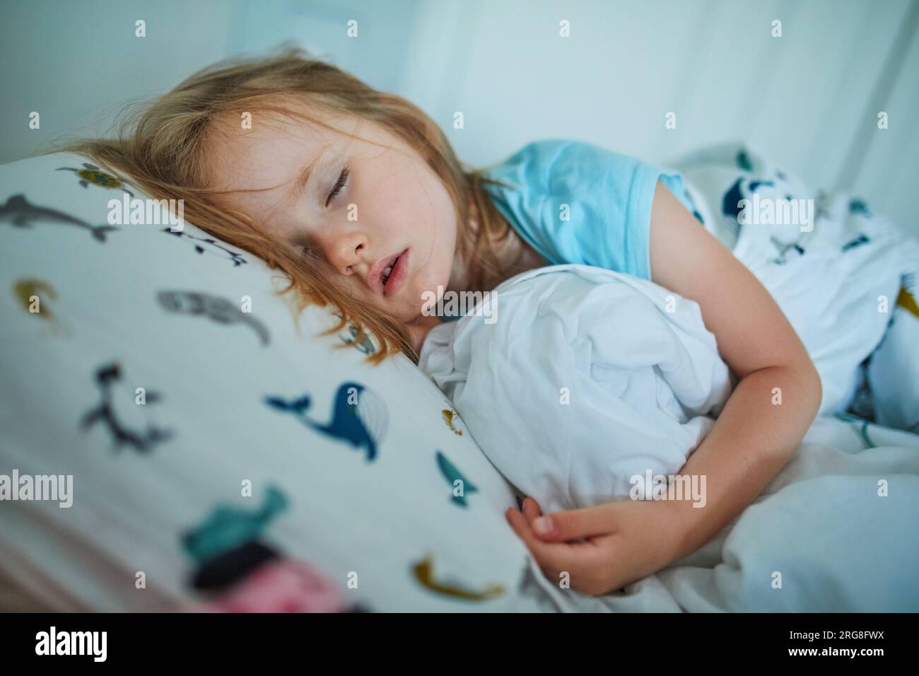 Preschooler girl sleeping in her bed. Little child having a day nap. Kid in nursery Stock Photo ...